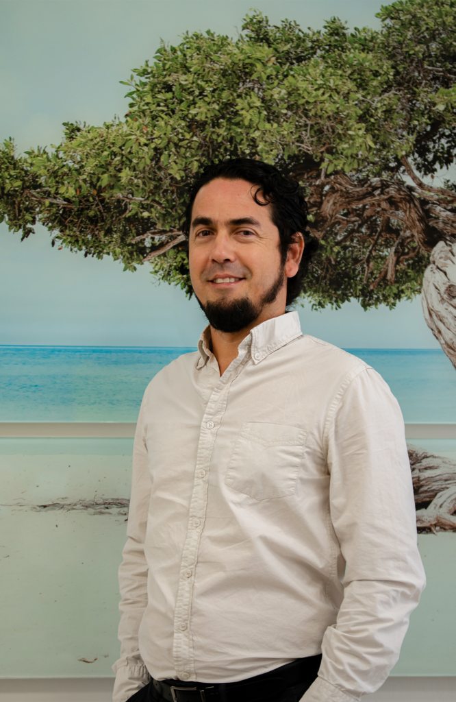 The Board – tpef.aw